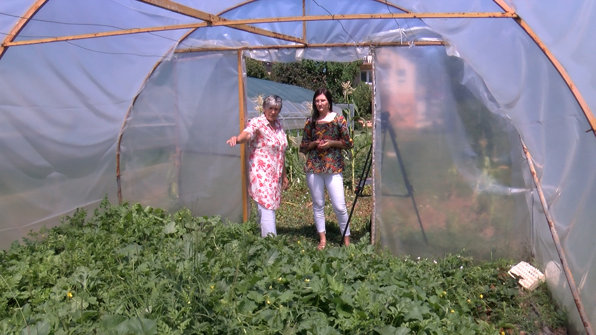 LUBENICE I DINJE IZ BAŠTE MELIHE KALJANAC | Radio Televizija Vogošća